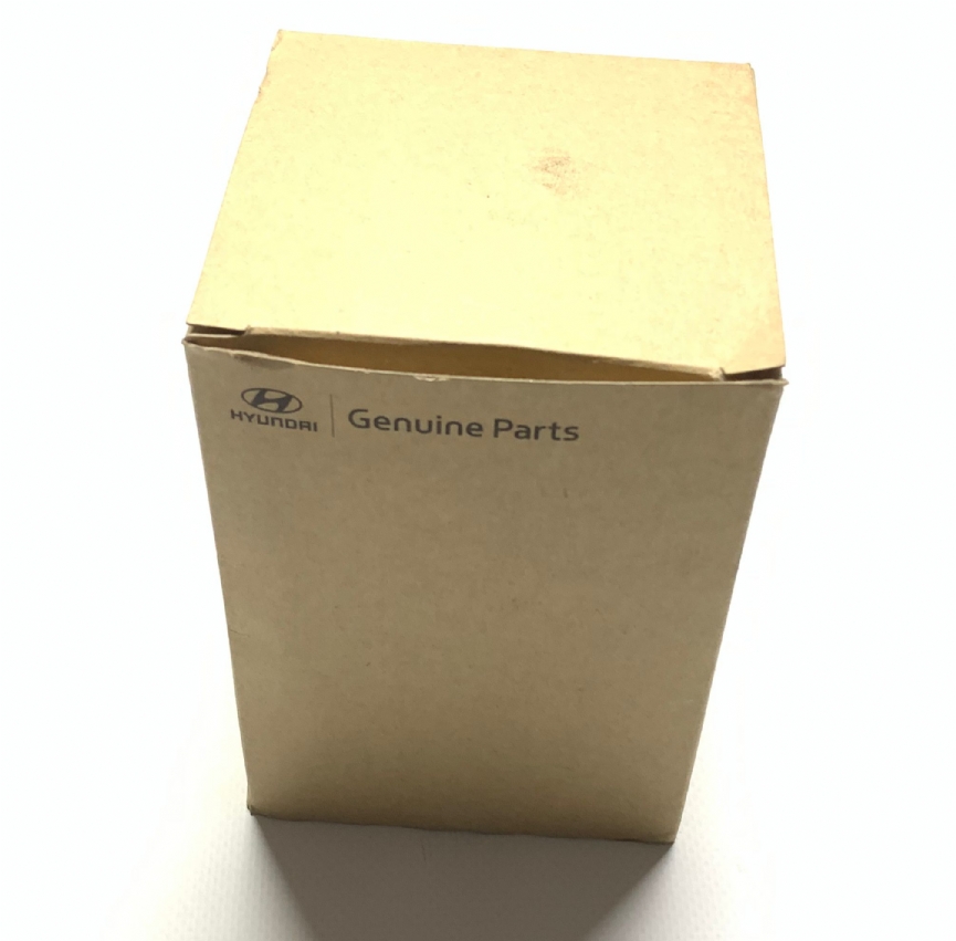 Hyundai Kona Yakıt Filtresi 2019 ve Sonrası (31922-79880) (31922-J9800)